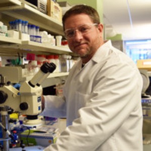 Exploring Cardiovascular Physiology to Uncover Novel Therapeutic ...