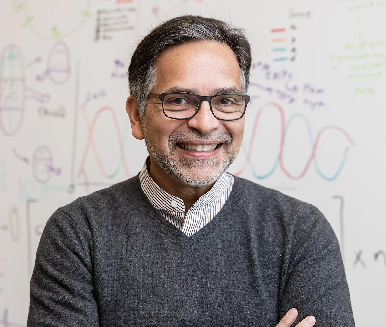 Dissecting the Biological Complexity of Animal Regeneration - GoldLab ...